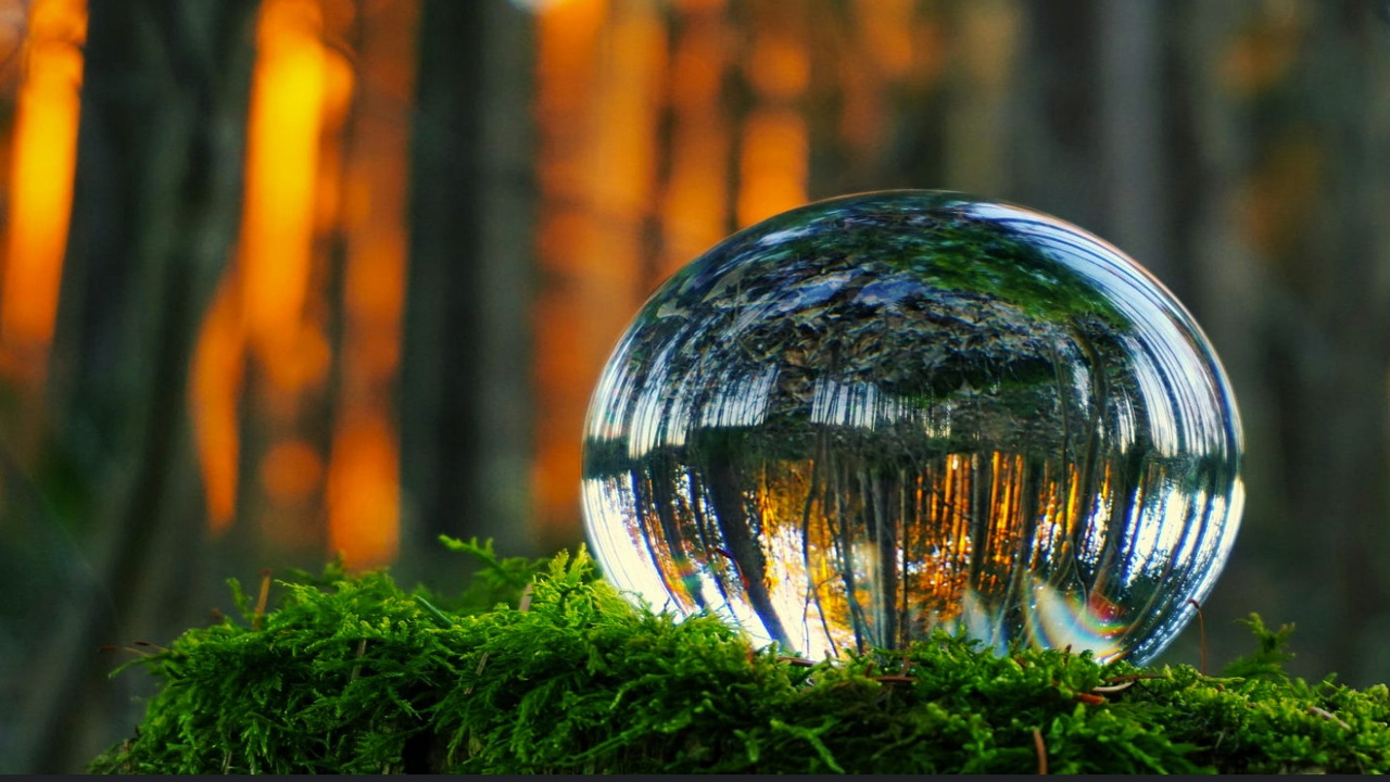 React Series With Chakra Ui Components Training Home Routes Setup Happydoer Directory Fzco